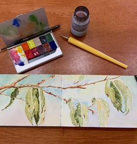 Eureka Springs School of the Arts | A Multifaceted Art Education